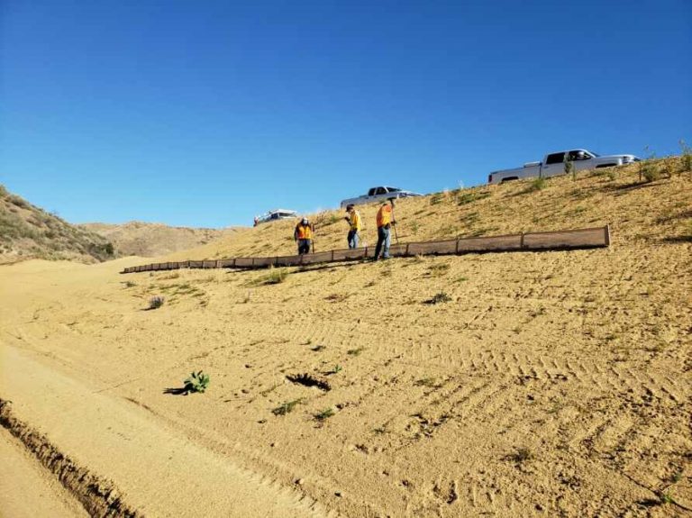 Wattle Killer Erosion & Sediment Control System | SOX Erosion Solutions